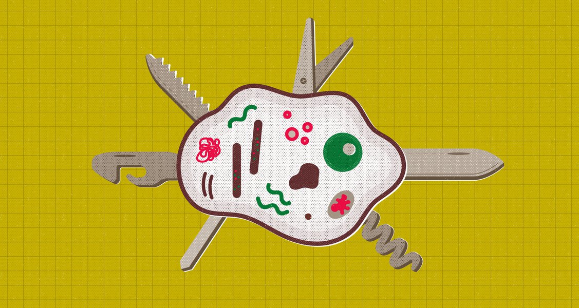 Cybernetic cells: blurring the boundaries of biology and technology | Nesta