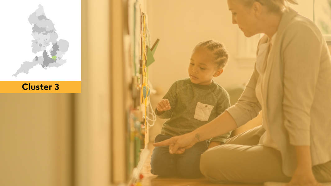 Case study 4: Westminster | Nesta