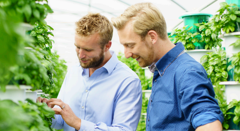 The State of Small Business: Putting UK entrepreneurs on the map | Nesta