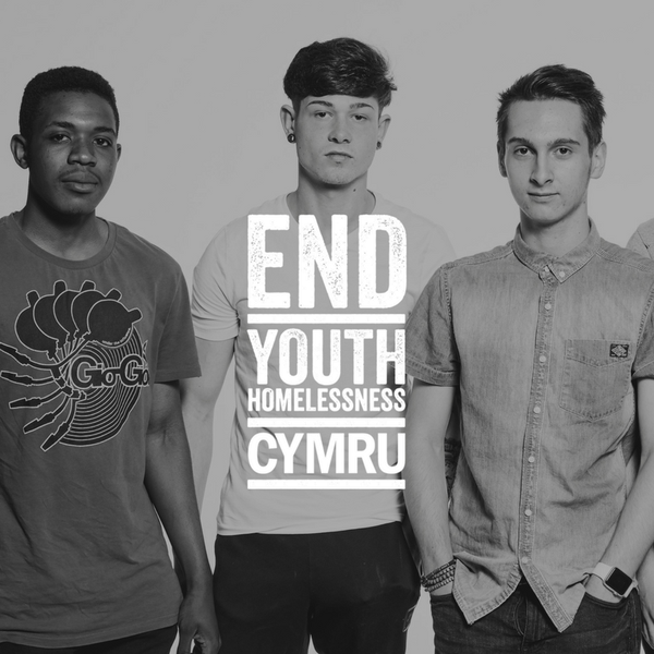 Awareness and collaboration: New Radical's impact on End Youth ...