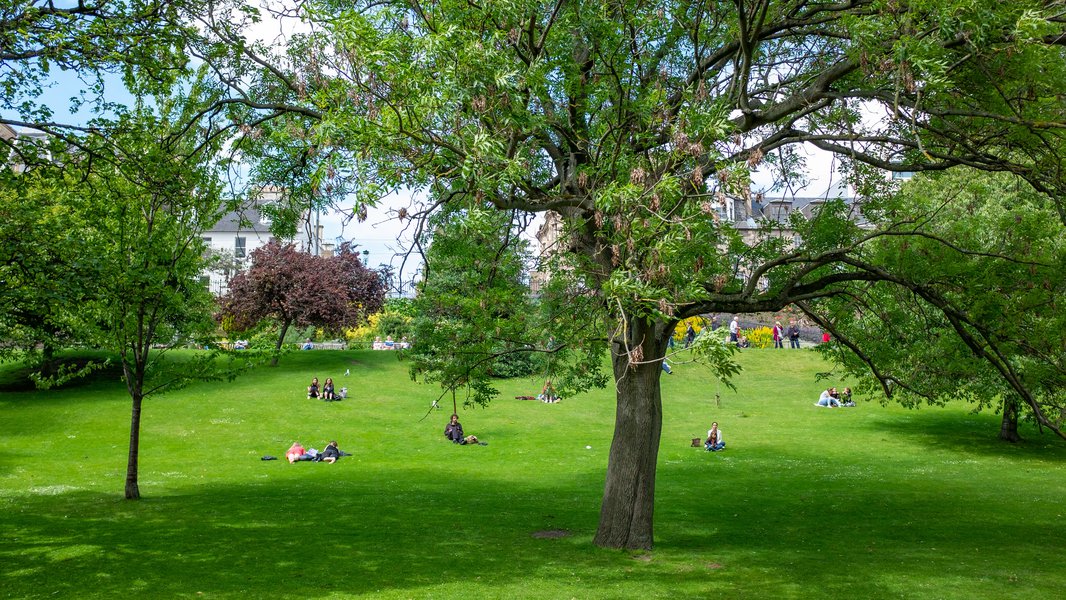 Rethinking the Future of Parks | Nesta